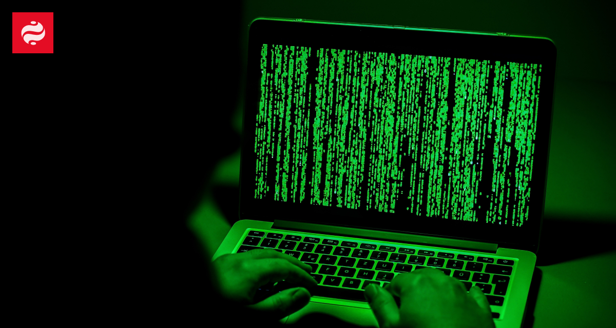 Monobank испытал масштабную DDoS-атаку 21 января 2024 года | Новости Украины | LIGA.net