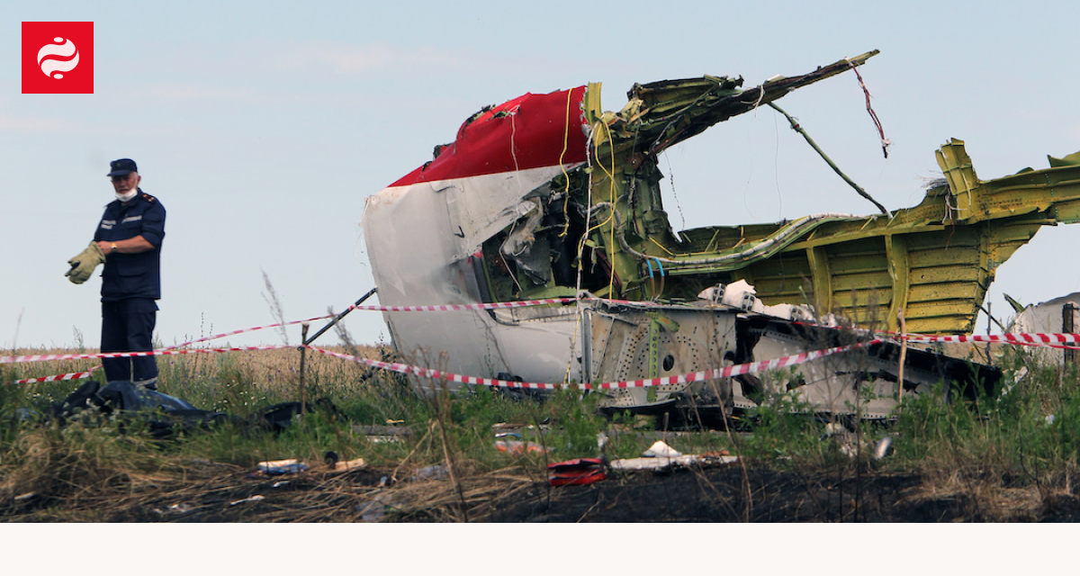 Russia is guilty of shooting down Malaysian Boeing – new ICAO decision | Ukrainian News | LIGA.net