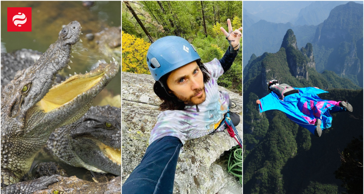 The most dangerous hobbies of millionaires who choose risk over islands ...