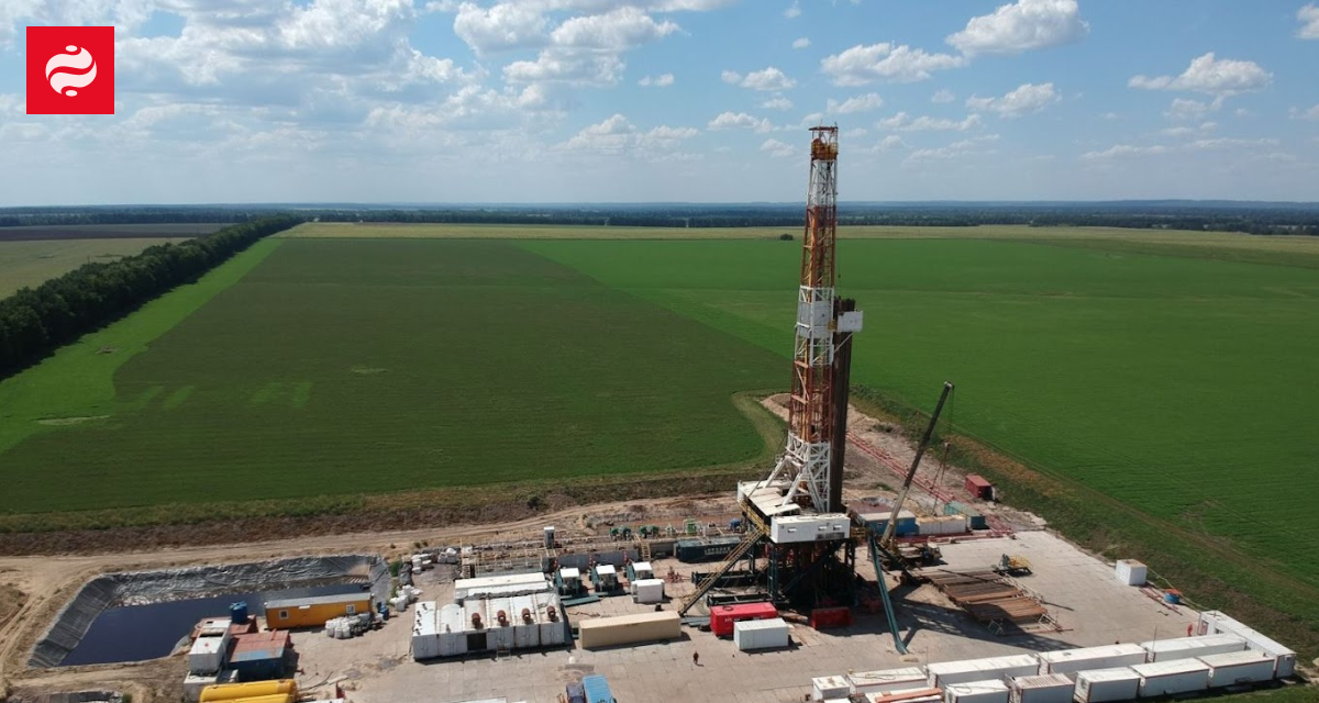 Мазепа придбав Бейкень Україна у китайської Beiken | Новини України ...