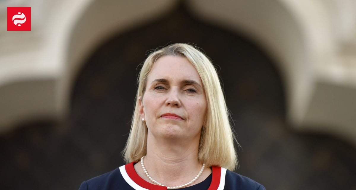 Bridget Brink decides to run for Congress – video | Ukrainian News ...