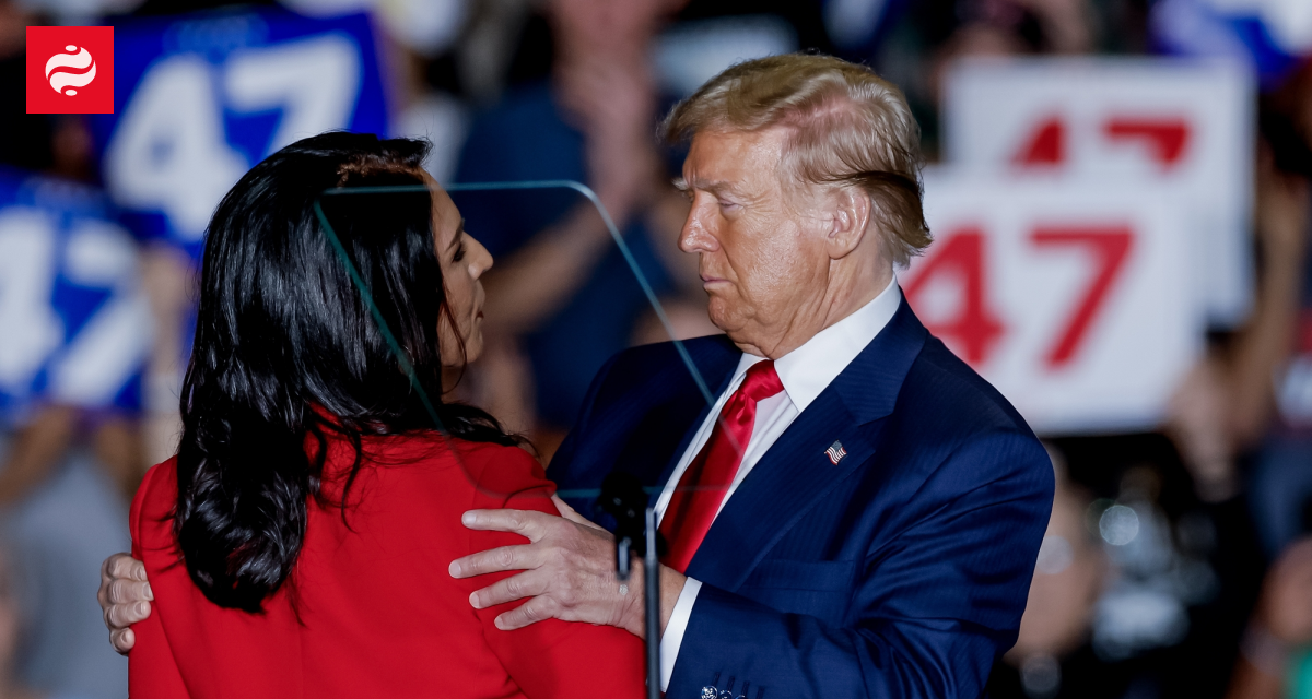 Тулсі Габбард втрачає прихильність Дональда Трампа – CNN | Новини України | LIGA.net