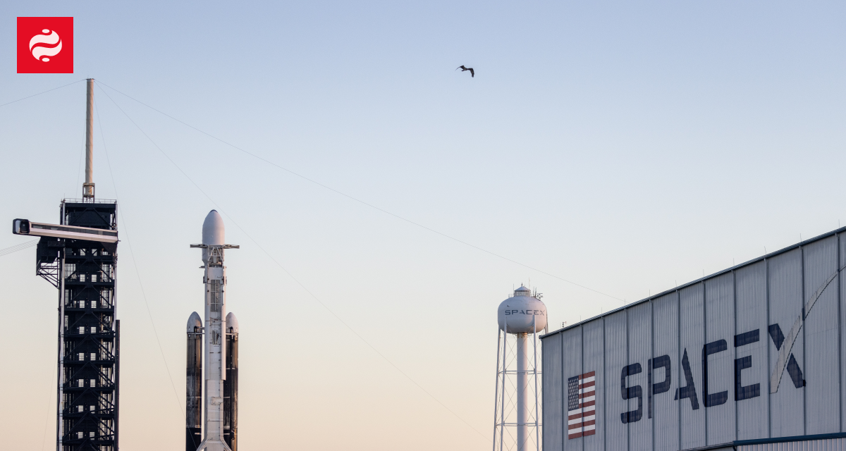 SpaceX готовит внутреннюю продажу акций на $1,25 млрд | Новости Украины | LIGA.net