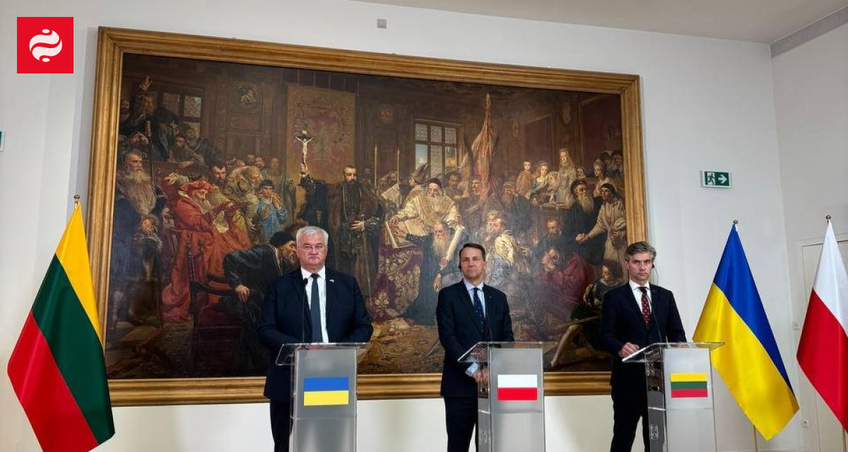 Ukraine, Poland and Lithuania launch forum of historians to counter ...