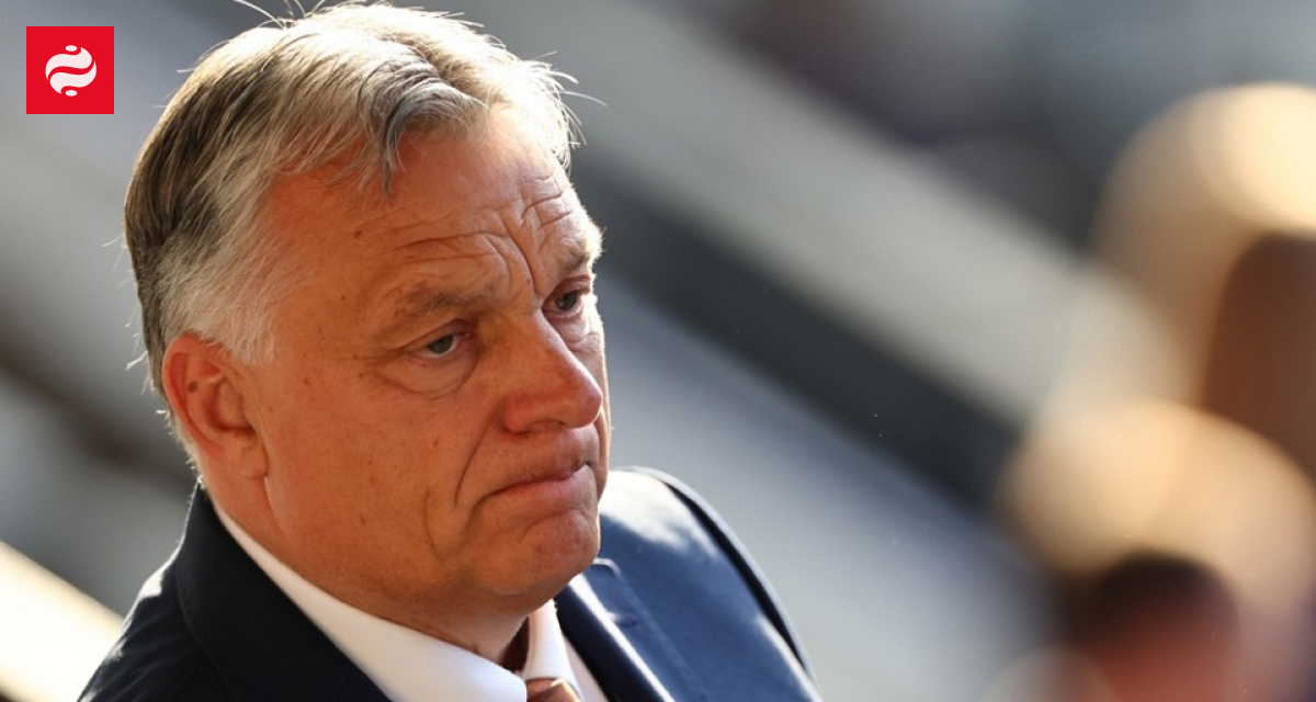 Orban calls Ukraine a buffer state and offers cooperation instead of ...