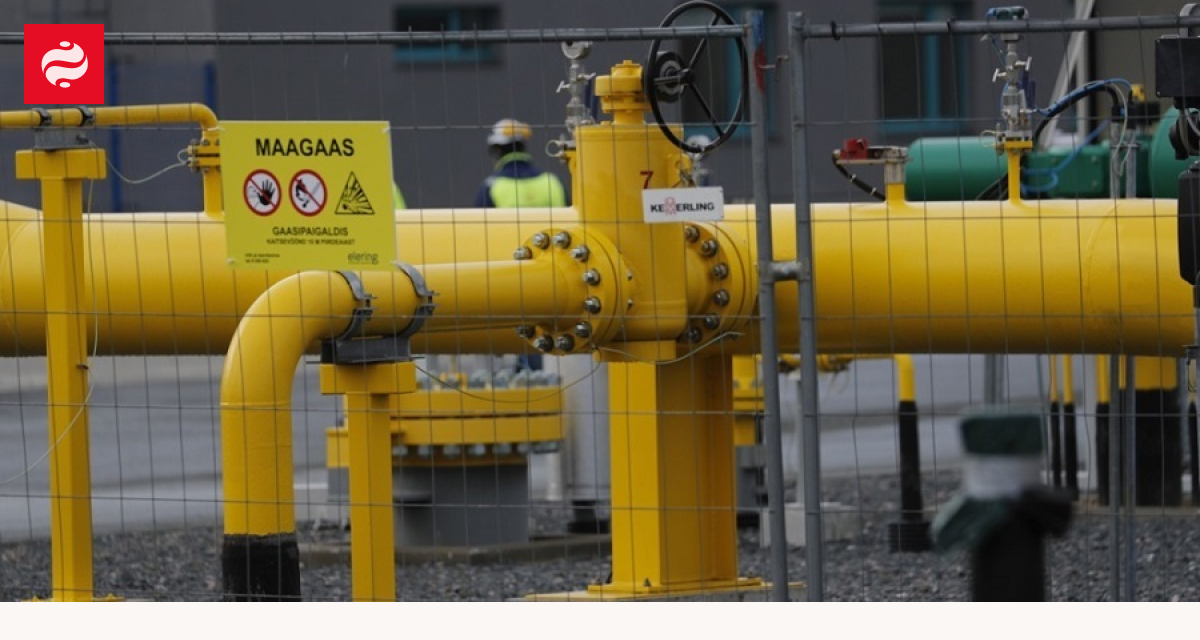 EU increases purchases of Russian LNG in 1H2025 | Ukrainian News | LIGA.net