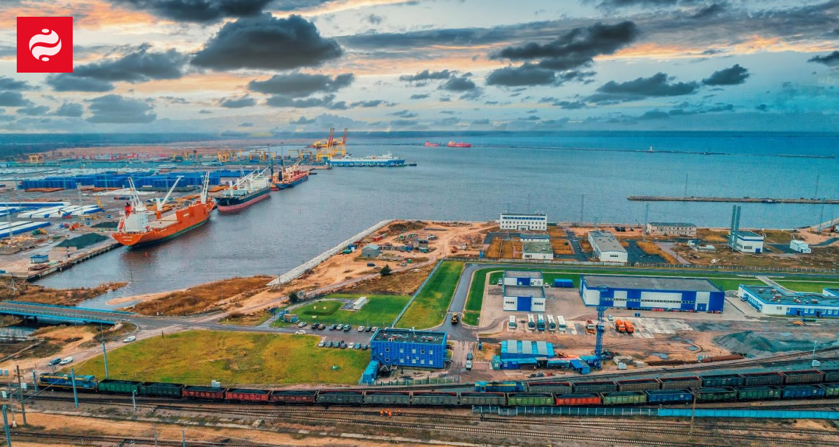 Ust-Luga gas processing complex hit by SBU and SSU drones – source ...