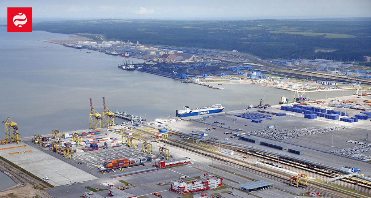 General Staff confirms defeat of Ust-Luga | Ukrainian News | LIGA.net