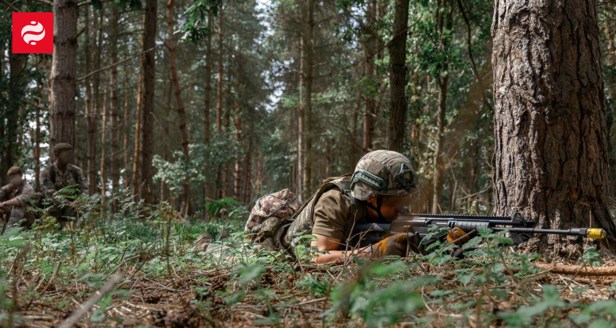 Peacekeepers in Ukraine – Europe has developed a plan to send two ...