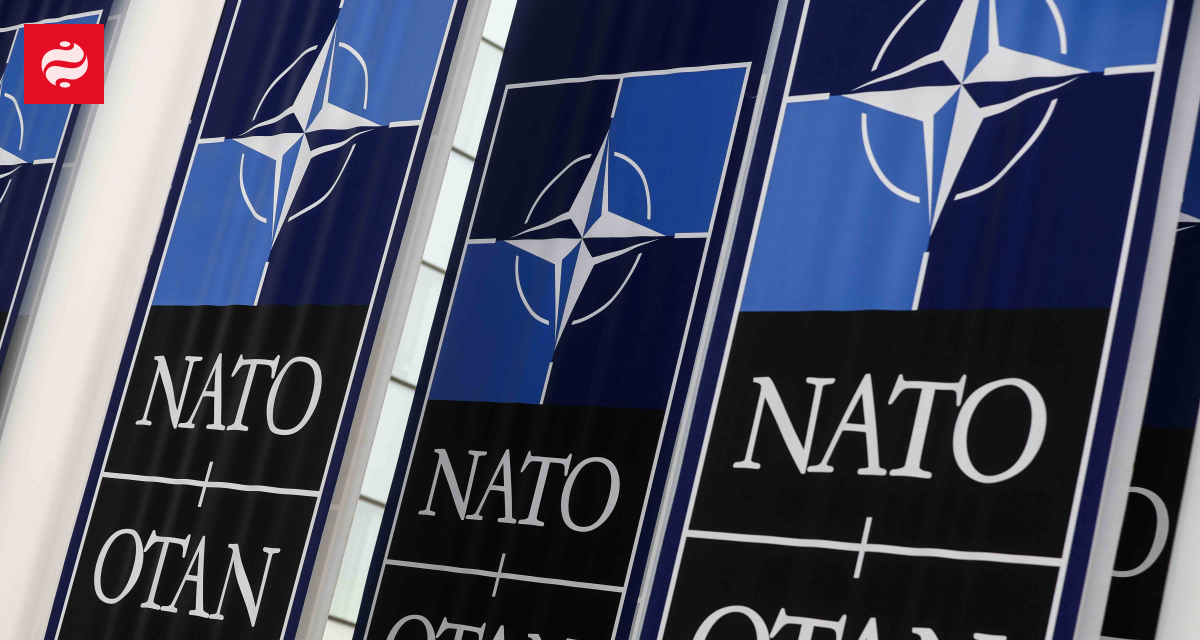 Russian planes in Estonia – NATO ambassadors to meet for talks on ...