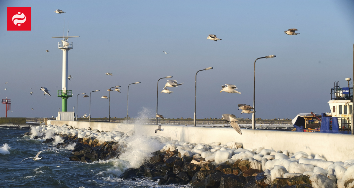 NATO countries strengthen presence in the Baltic Sea – details ...