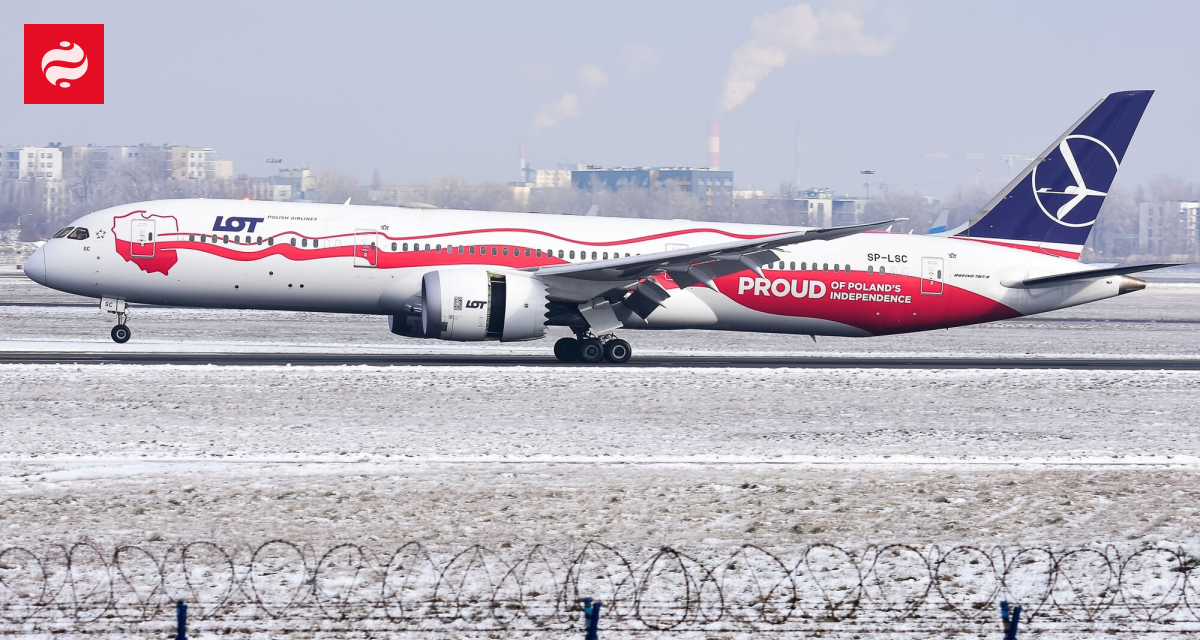 Затримання українця в Польщі – що йому загрожує | Новини України | LIGA.net