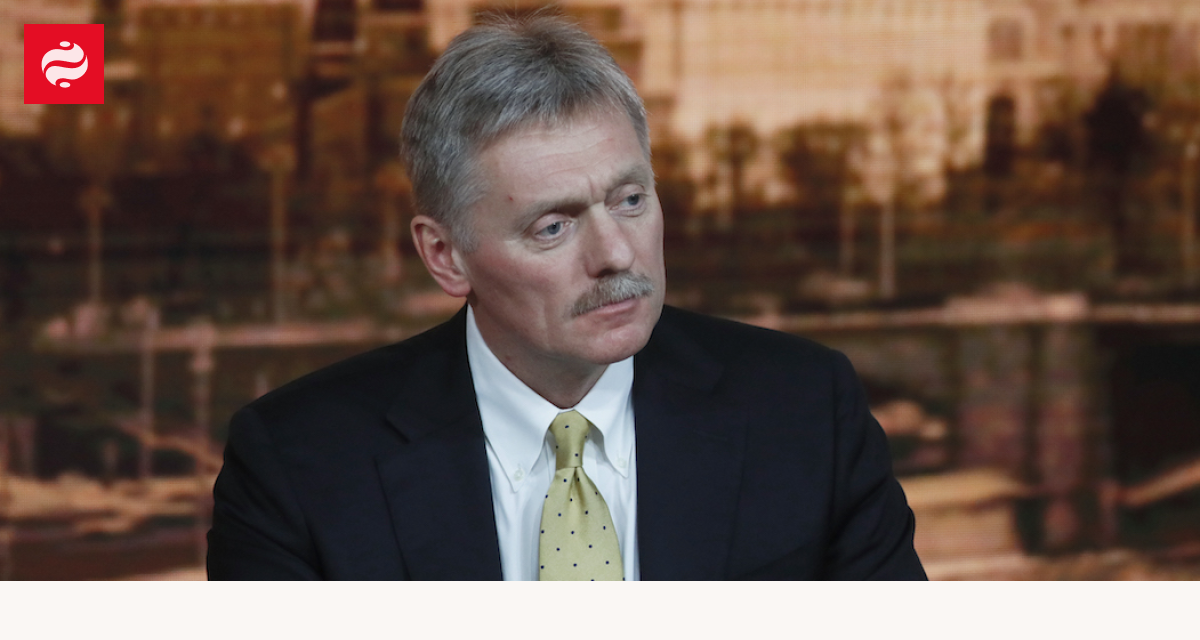 Putin promises not to bomb Ukraine's energy sector for two more days ...